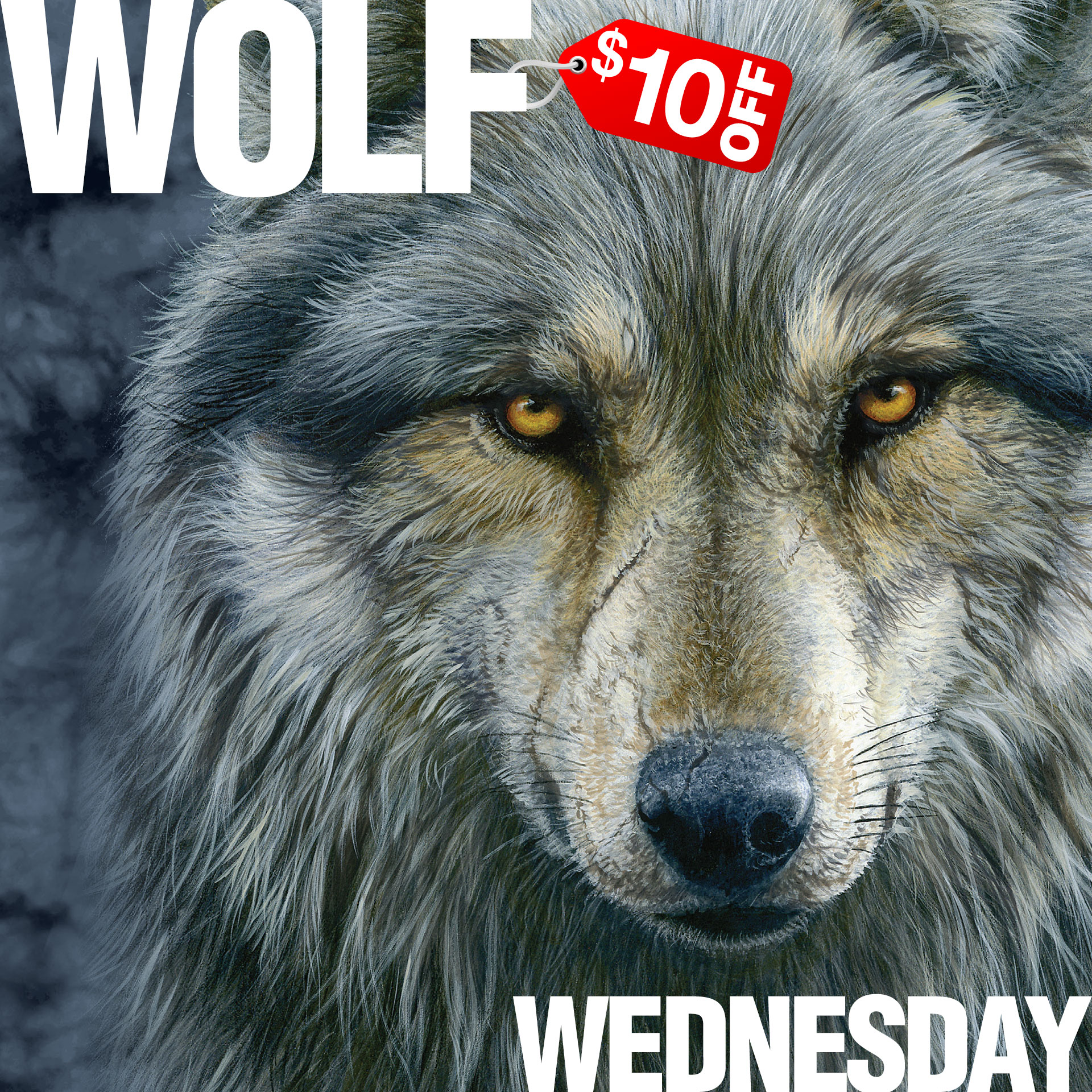 SAVE $10 it's Wolf Wednesday! - The Mountain Retail News 11-15-23