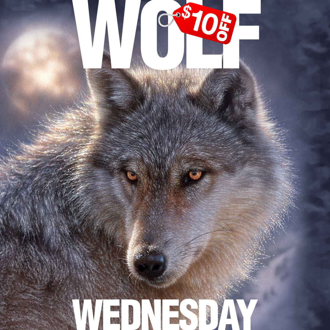 What day is it? $10 OFF Wolf Wednesday! - The Mountain Retail News 01-24-23